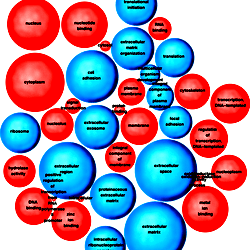 Bubble-plot representation of major pathways that were up- or down ...