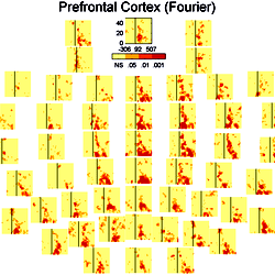Statistical significance of each sample in the TF-maps of LICIDFT for ...