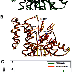 Structural comparison using the extreme configurations obtained from ...