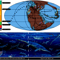 Spatial and stratigraphical distribution of Early Triassic and Anisian ...