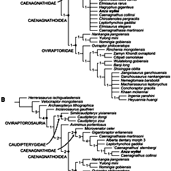 Strict consensus trees resulting from successive trials of phylogenetic ...