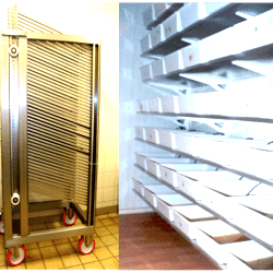 FAO/IAEA larval rearing unit (left) and standard laboratory trays used ...