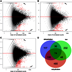 DESeq differential transcript expression analysis.