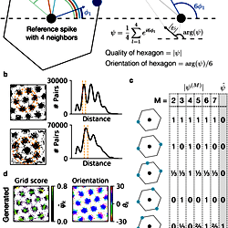 A spike-based grid score.