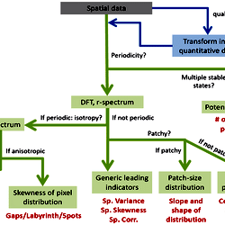 Flow chart of analysis to perform on a spatial data set.