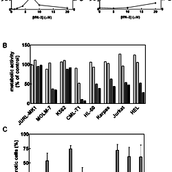 Effect of IPA-3 on cell growth and viability.