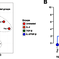 Principal component analysis and hierarchical clustering.