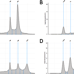 Four examples of electropherograms (EPGs) of total RNA samples analyzed ...