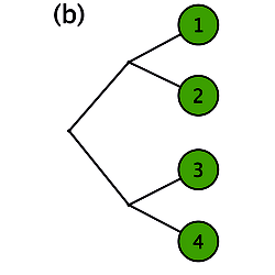 Cyclic and tree-structured symmetries.