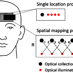 Configuration of the optical probes on the subject’s forehead.