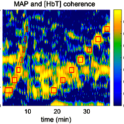 Time-frequency representation of coherence between [HbT] and MAP for ...