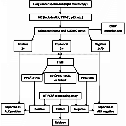 Diagnostic algorithm that uses immunohistochemistry (IHC) as the ...