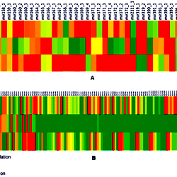The digital expression values obtained through high-throughput ...