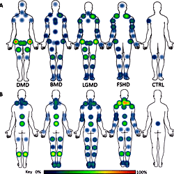 Body maps.