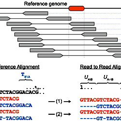 Max-clique enumeration and edge definitions.