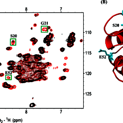 S100A4 inhibits cell proliferation by interfering with the S100A1-RAGE ...