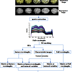 Flowchart of main data-processing procedures to predict FAA with ...