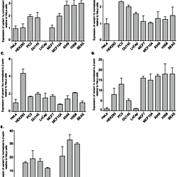 Transcript variants are differentially expressed.