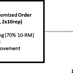 Schema of the experimental protocol.
