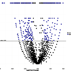 Volcano plot graph.
