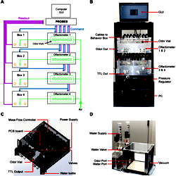 The Design of PROBES.