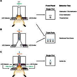 Behavior Box Design.