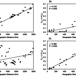 Isolation by distance.