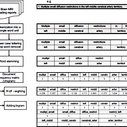 Preprocessing flow chart of “quanteda” natural language processing package.