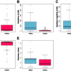 Conditional box plots of the all five measured indices, stratified by clavus and verruca.