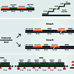 Overview of study design.