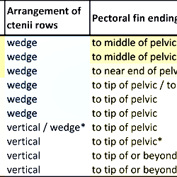 Morphological and meristic characters considered important by Kotlyar.
