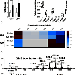 Modulation of ceramide and ganglioside metabolisms in DCs following CpG ...
