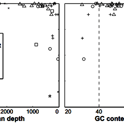 Comparison of GC content, read depth and coverage.