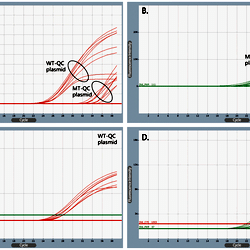 Examples of amplification curves using conditions optimized by the ...