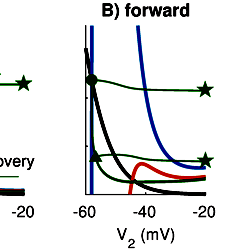 Nullclines in the V2-h plane for fixed values of V1 and trajectory of ...