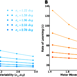 Predicting learning rates given motor and exploratory movement variability.