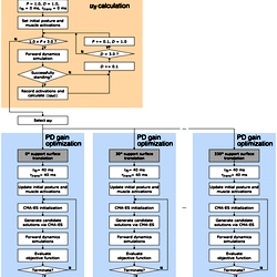 Parameter adjustment algorithm.