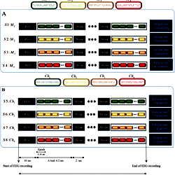 Introducing chaotic codes for the modulation of code modulated visual evoked potentials (c-VEP ...