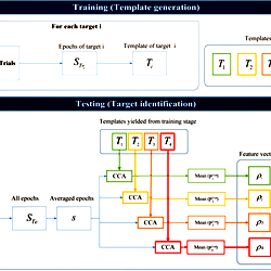 Schematic representation of using CCA for template generation and ...