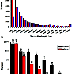 Analysis of Illumina short read assembly quality.