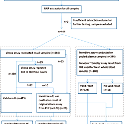 Flow chart of PCR analysis of samples.