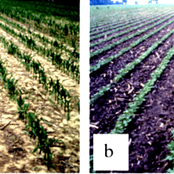 Modified shape index for object-based random forest image ...