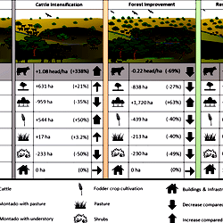 Land use distribution in current state and scenarios.