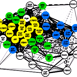 An adjacent matrix network graph using correlation coefficients from S2 ...