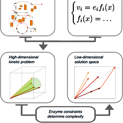 Illustration of the extremum principle.