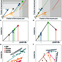 Predictions and experimental results of the perturbation of the size of ...