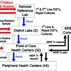 Flow of samples, results, and MDR treatment requests and plans within ...