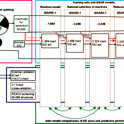 An overview of the workflow.