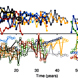 NMS axis 1 scores (species matrix) over time.