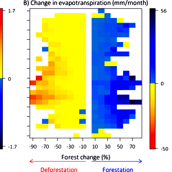 Effects of forest change on local climate change.